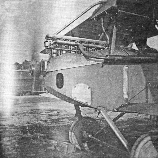 J.Herris - LVG Aircraft of WWI. Volume 2: Types C.II-C.V /Centennial Perspective/ (35)